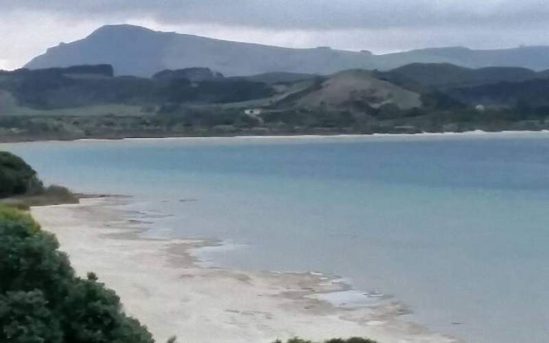 Taharoa Domain Campground (Promenade Point) | Freedom/Basic Camp | New ...